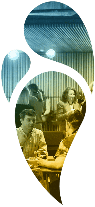 Home - Spring Venture Group